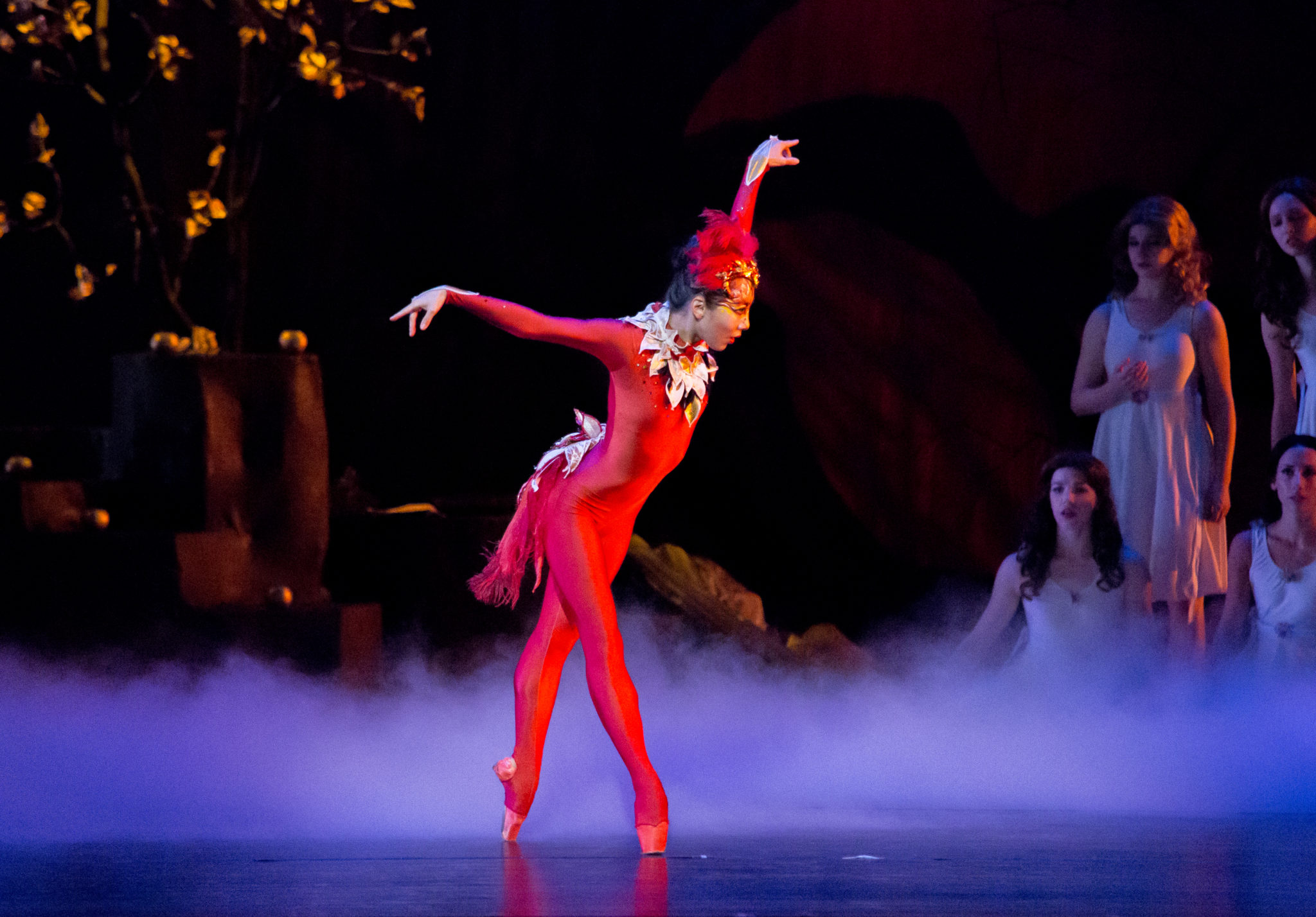 Gallery • Oklahoma City Ballet