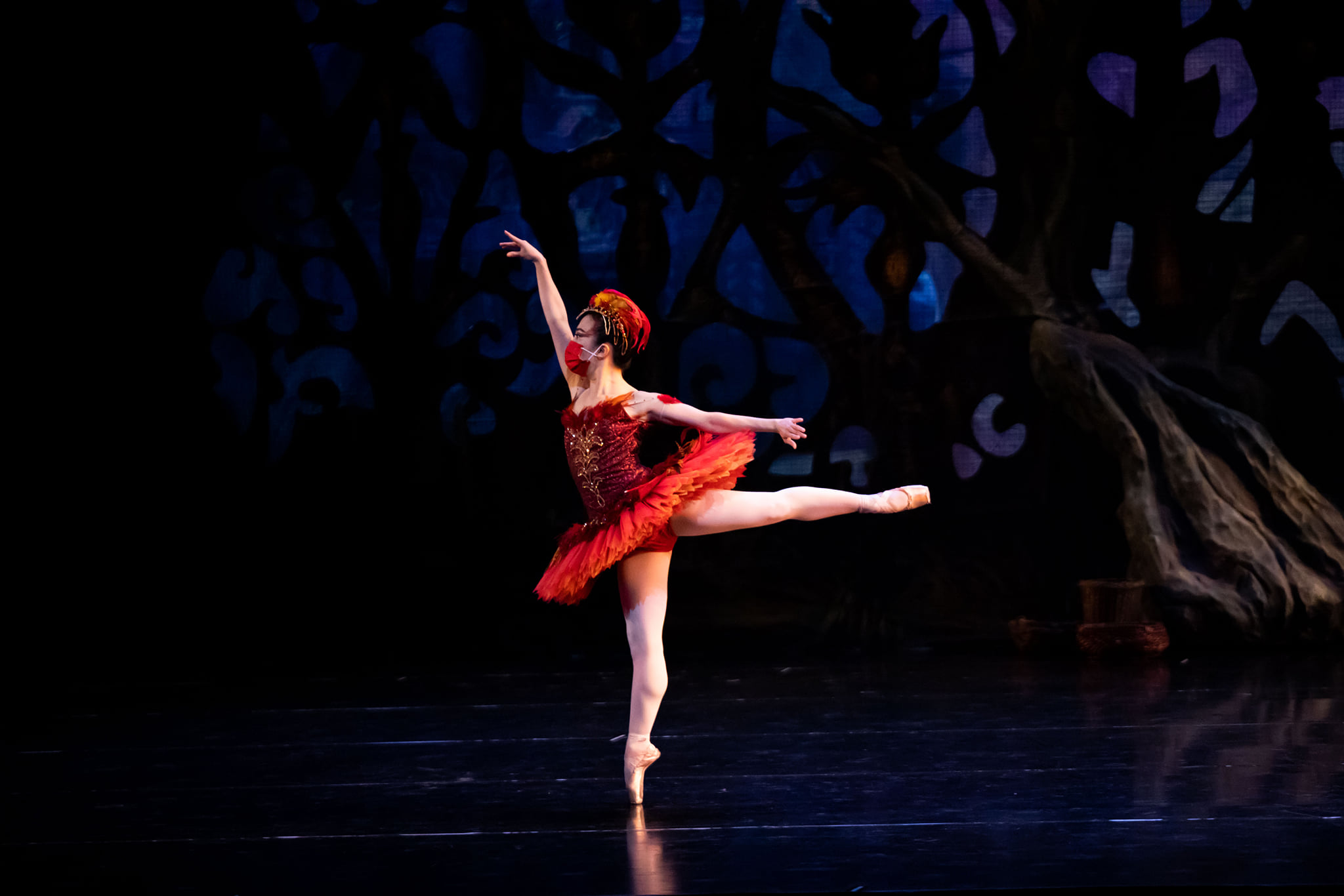 Gallery • Oklahoma City Ballet